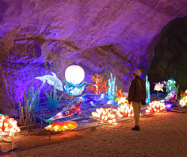 전국 BF 잘함 : ACRC Webzine